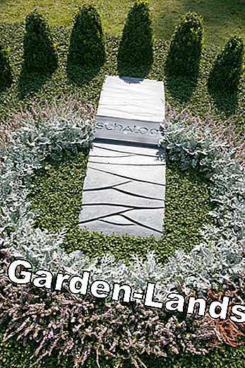 Landscaping: Grave Design: Tips And Ideas - My Beautiful Garden | 2025