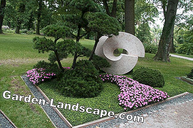 Landscaping: Grave Design: Tips And Ideas - My Beautiful Garden | 2025