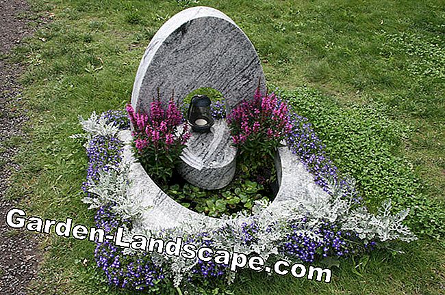 Landscaping: Grave Design: Tips And Ideas - My Beautiful Garden | 2025