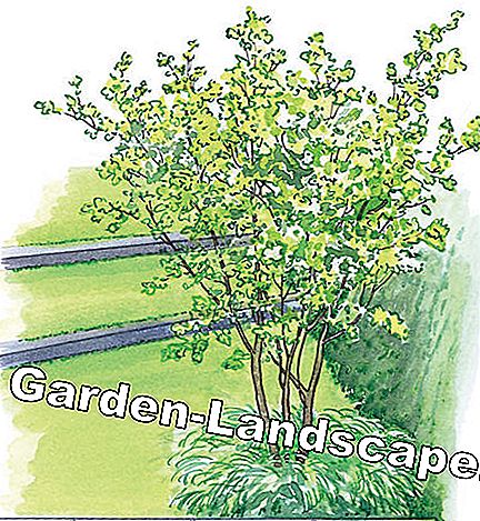 Landscaping: Design Ideas For A Semi-Detached Garden - My Beautiful ...