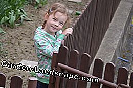 Garden Practice: Safety for children in the garden | 2025