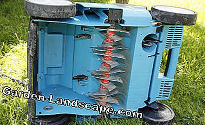 Other: Use The Hand Scarifier Correctly - My Beautiful Garden | 2025