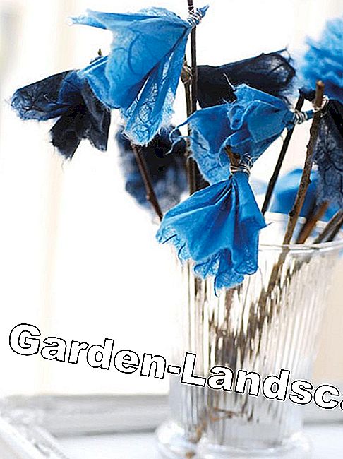 Other: Instructions: Flowers Made Of Tissue Paper - My Beautiful Garden ...
